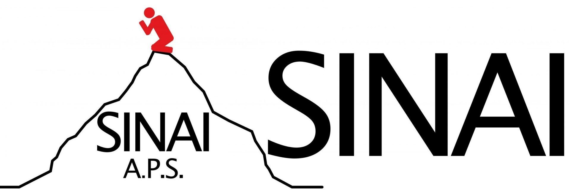 SINAI Aps